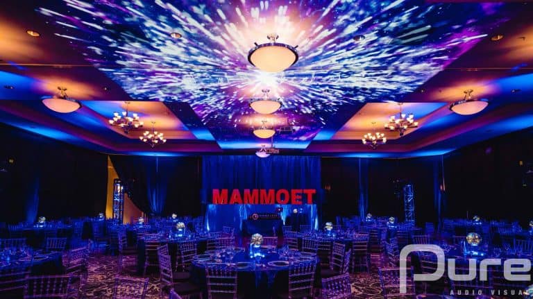 Projection Mapping Services - Pure AV